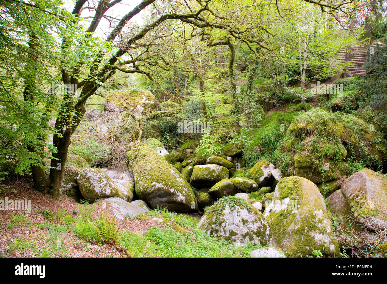 Rounded boulder hi-res stock photography and images - Alamy