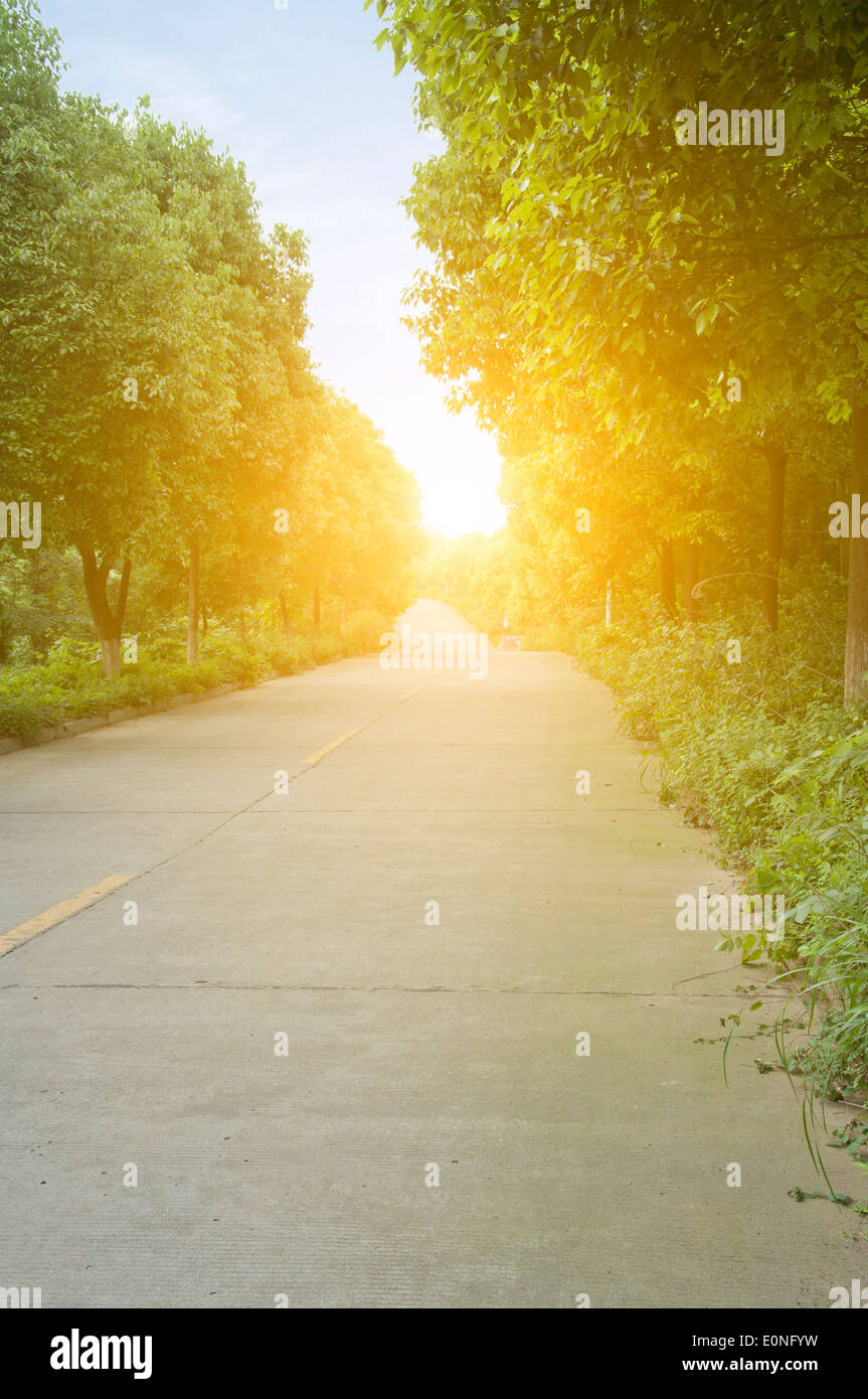 Lawn yellow brick road hi-res stock photography and images - Alamy