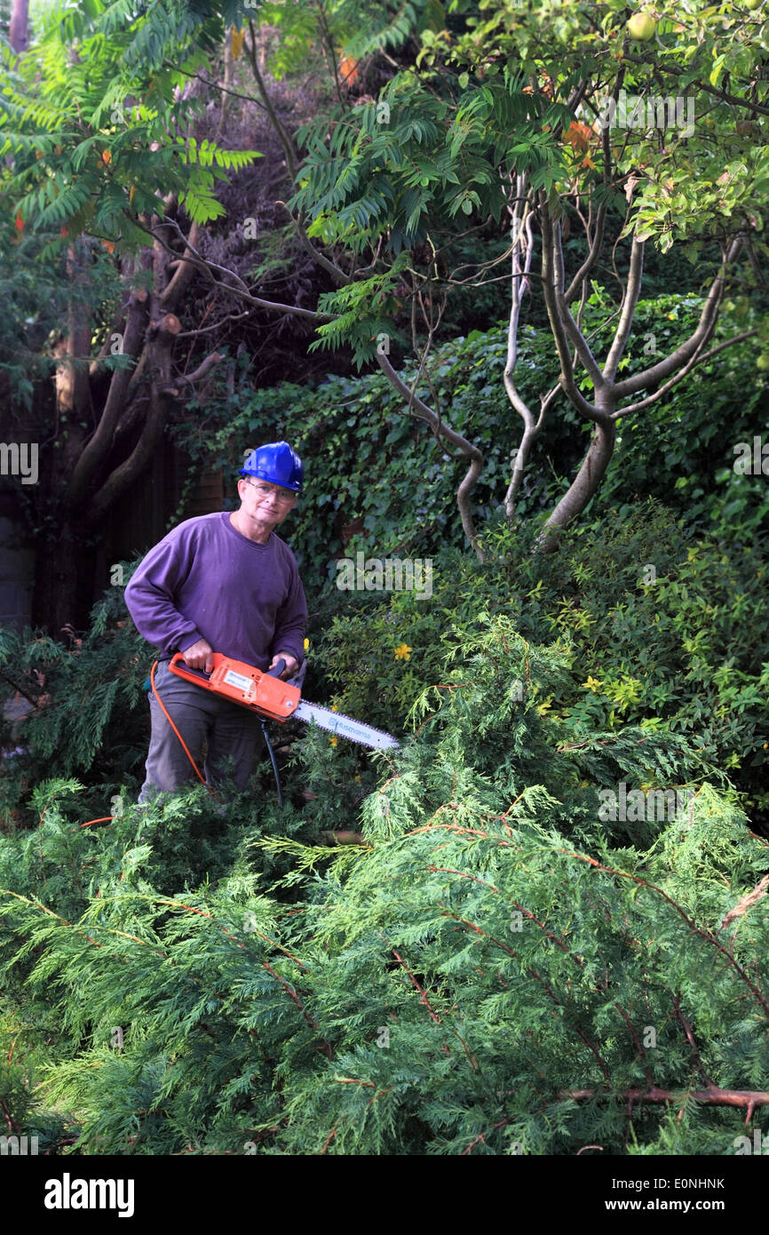 Gardener using chainsaw hi-res stock photography and images - Alamy