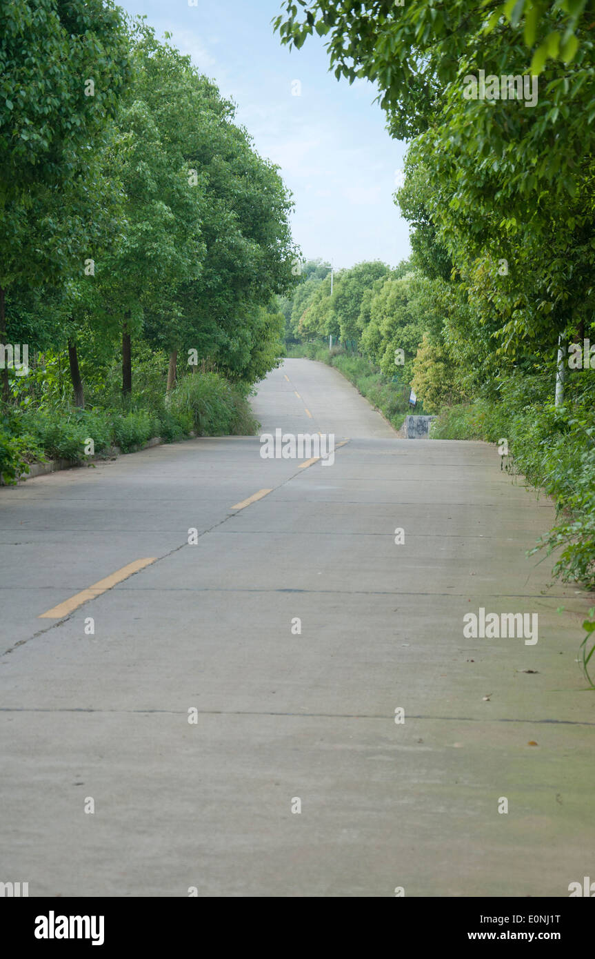 Pavement suburb street grass hi-res stock photography and images - Alamy