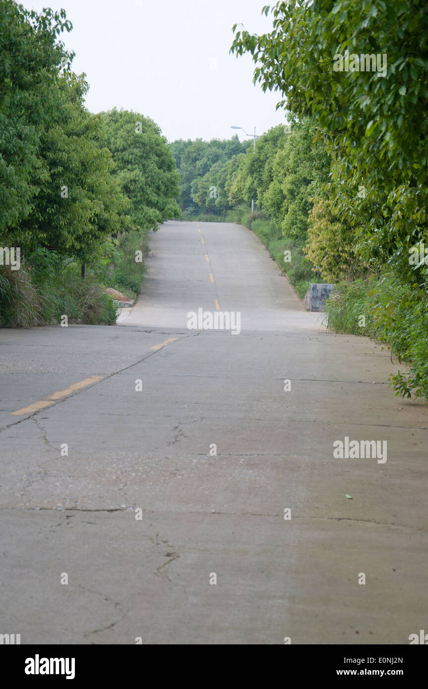 Pavement suburb street grass hi-res stock photography and images - Alamy
