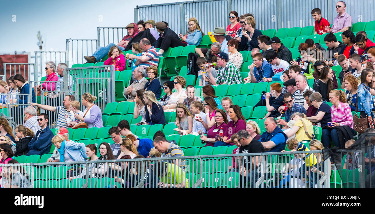 Show Jumping at The 2014 Balmoral Show, The Maze Lisburn, Northern ...