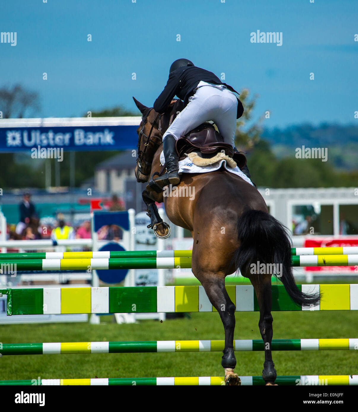 Show Jumping at The 2014 Balmoral Show, The Maze, Lisburn, Northern ...