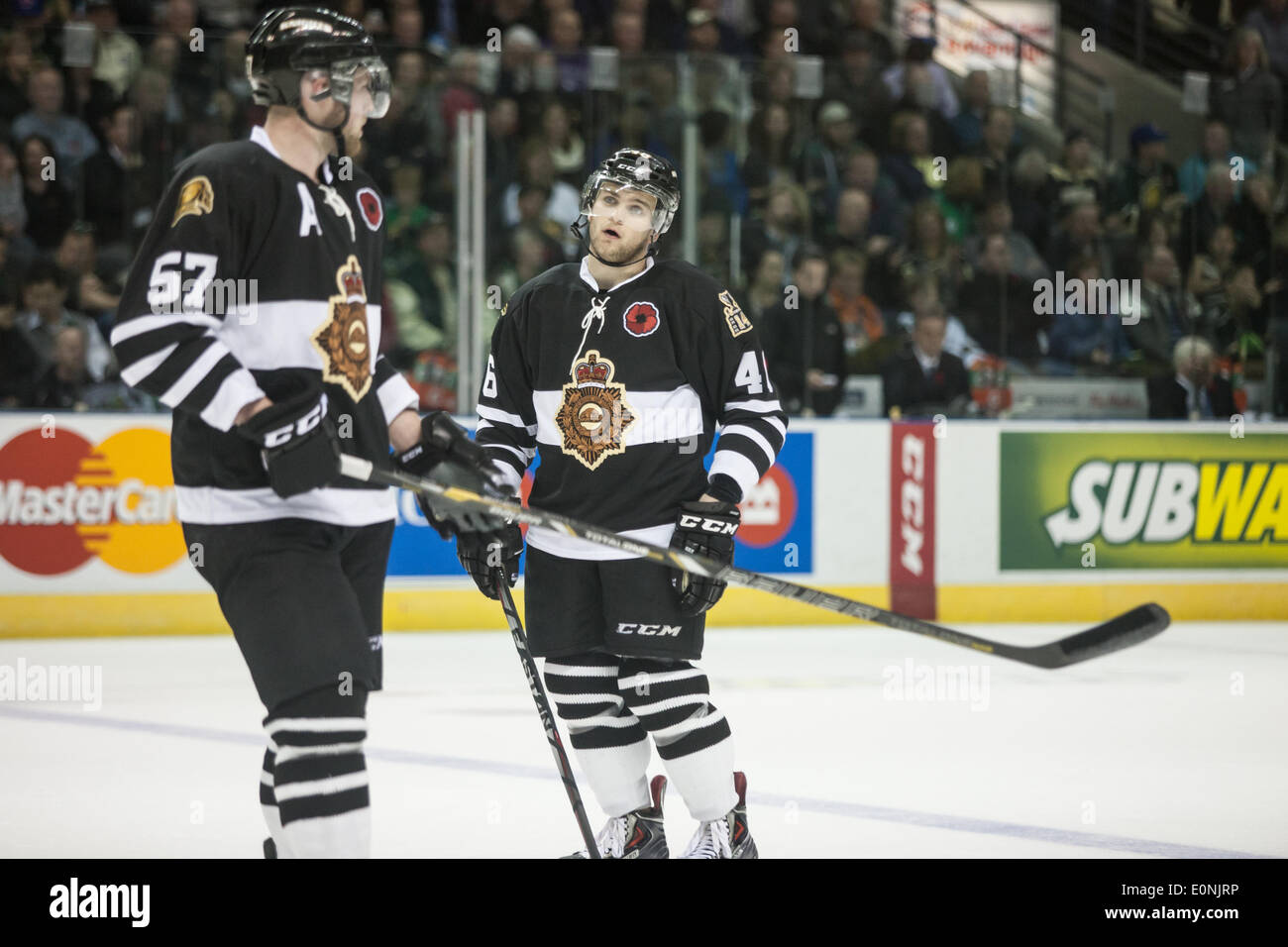 Matt austin hi-res stock photography and images - Alamy