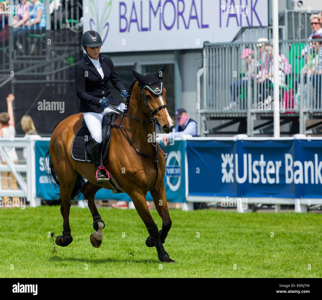 Show Jumping at The 2014 Balmoral Show, The Maze, Lisburn, Northern ...