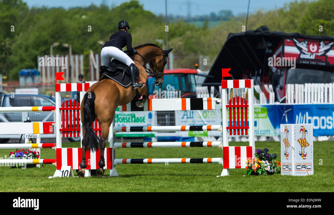 Show Jumping at The 2014 Balmoral Show, The Maze, Lisburn, Northern ...