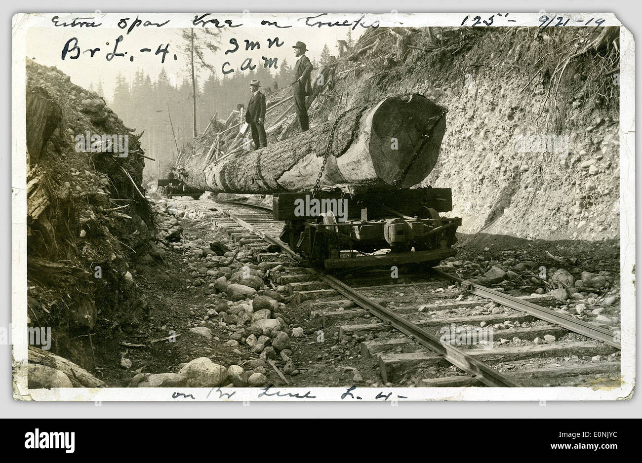 The tree transportation system hi-res stock photography and images - Alamy