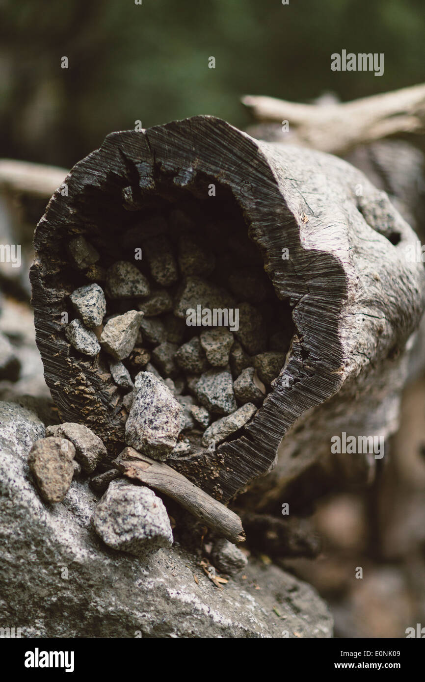 Pile of rocks inside a hole of a log, in Yosemite national park Stock ...