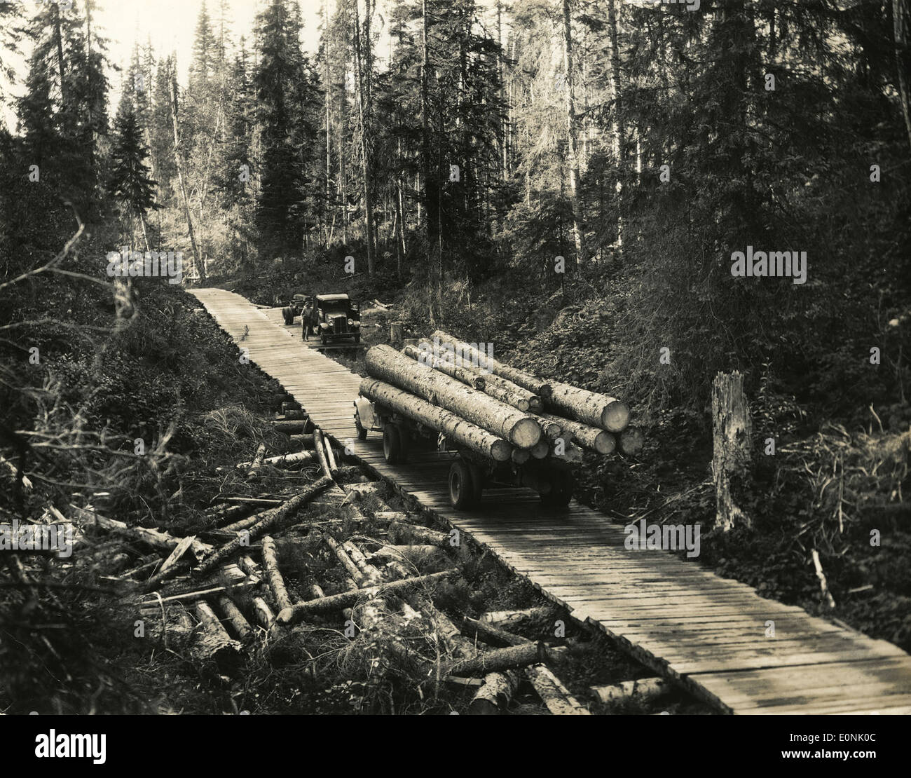 A photograph showing a truck transporting logs along a timber logging ...