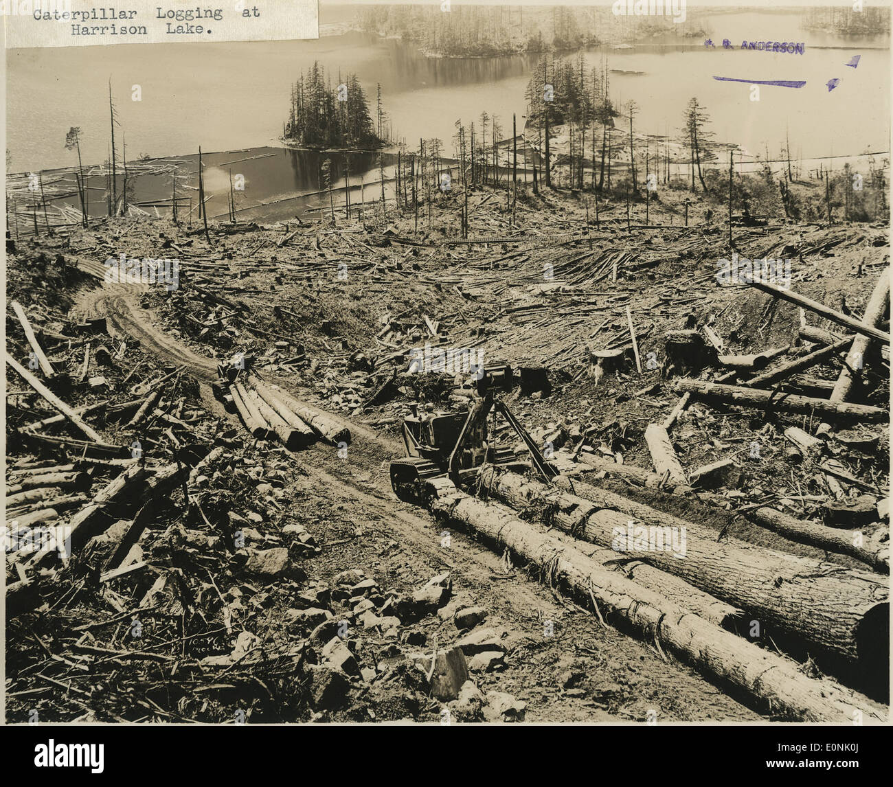 Timber industry caterpillar work hi-res stock photography and images ...