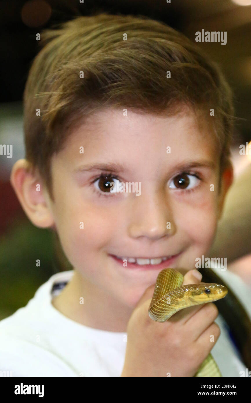 Boy with snake hi-res stock photography and images - Alamy
