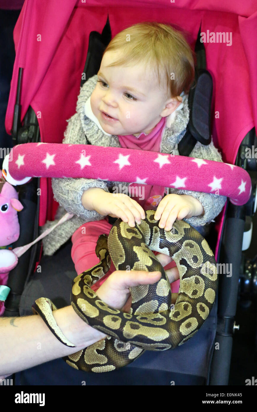 Playing with snakes hi-res stock photography and images - Alamy