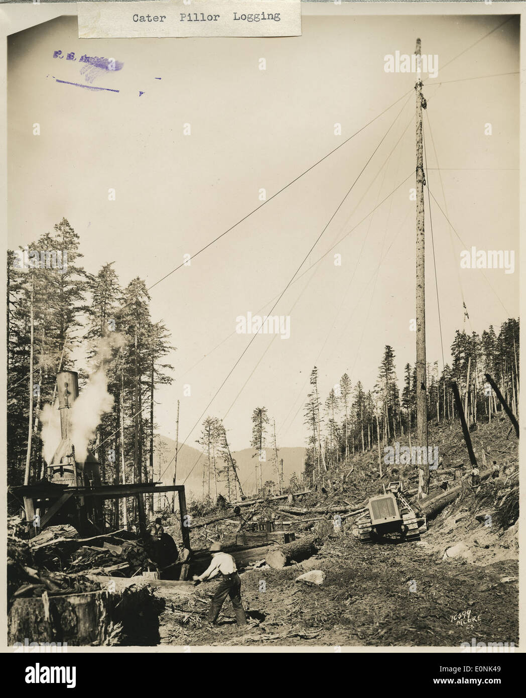 This image depicts a logging operation using a Caterpillar tractor ...