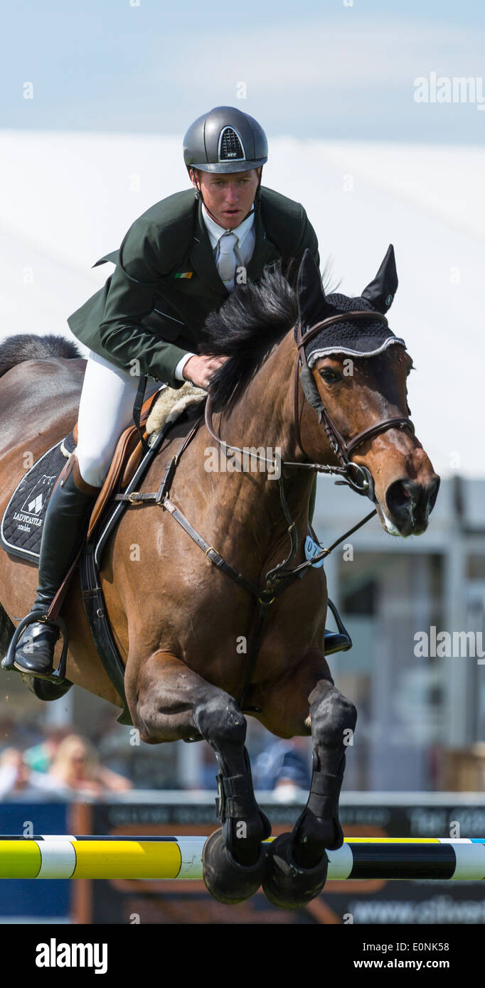 Show Jumping at The 2014 Balmoral Show, The Maze, Lisburn, Northern ...