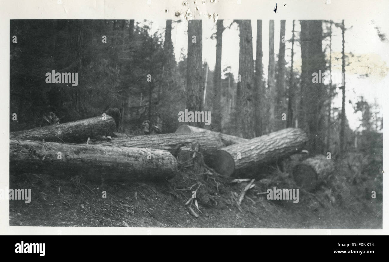 Camp knox hi-res stock photography and images - Alamy