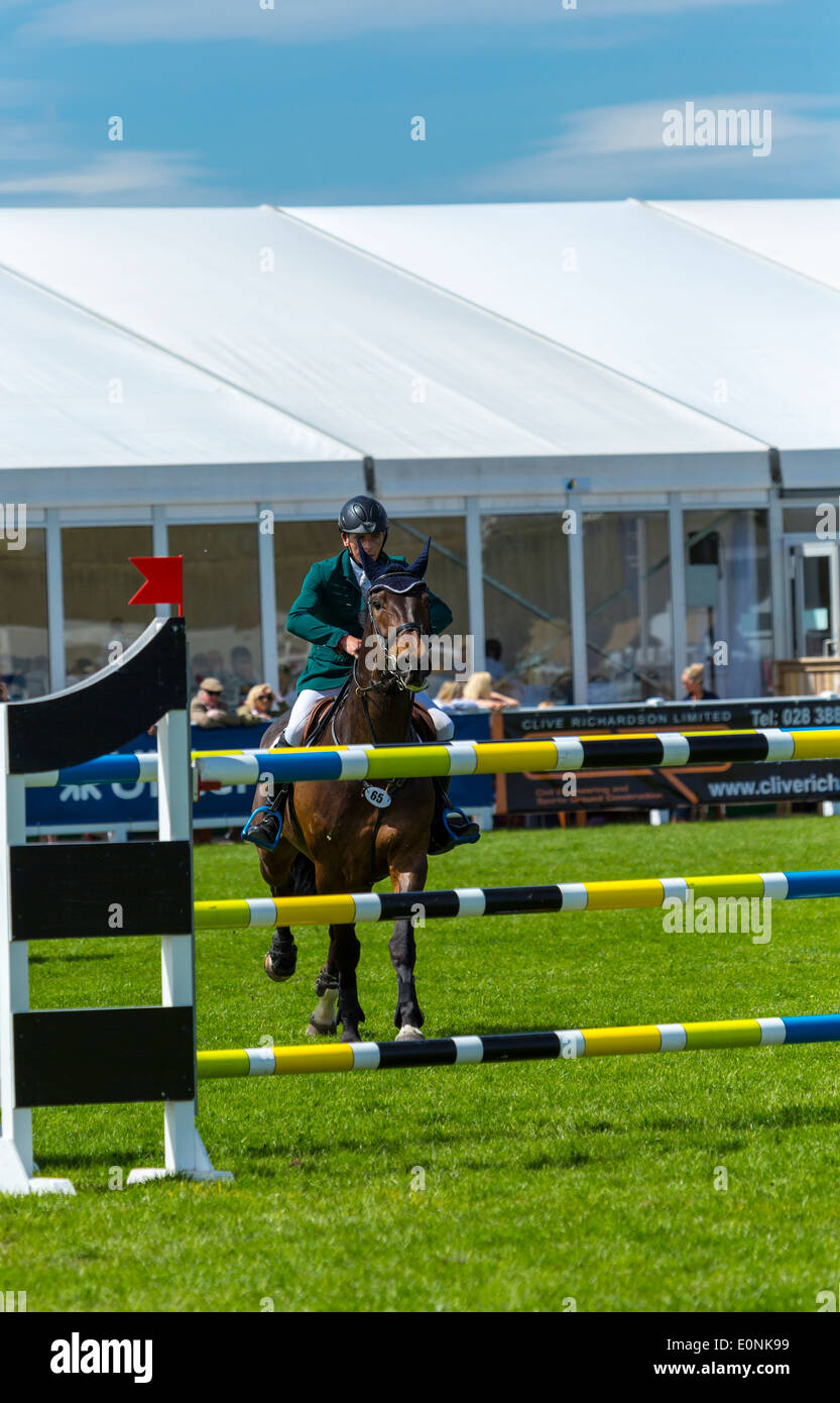 Show Jumping at The 2014 Balmoral Show, The Maze, Lisburn, Northern ...