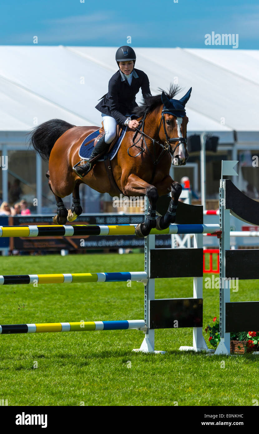 Show Jumping at The 2014 Balmoral Show, The Maze, Lisburn, Northern ...