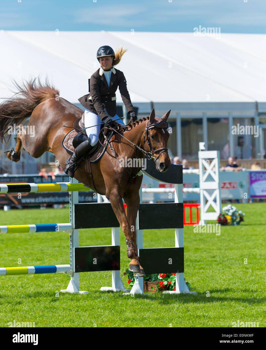 Show Jumping at The 2014 Balmoral Show, The Maze, Lisburn, Northern ...
