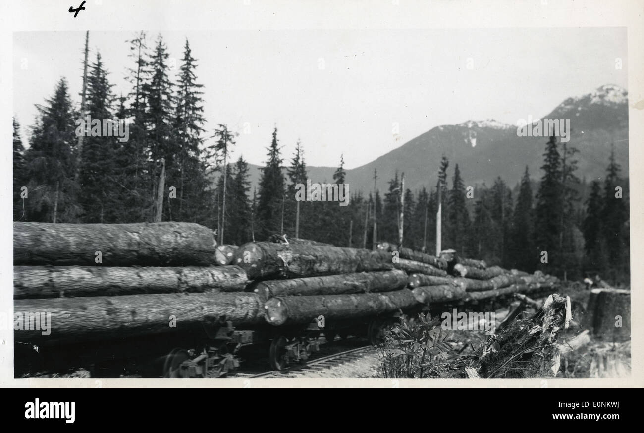 Logging company hi-res stock photography and images - Alamy
