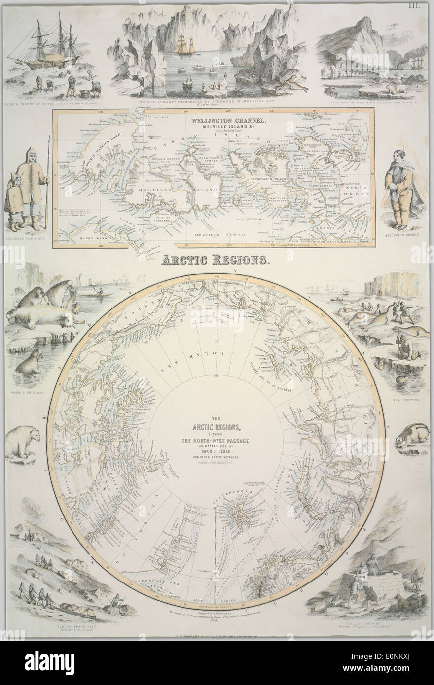 The north polar regions map hi-res stock photography and images - Alamy