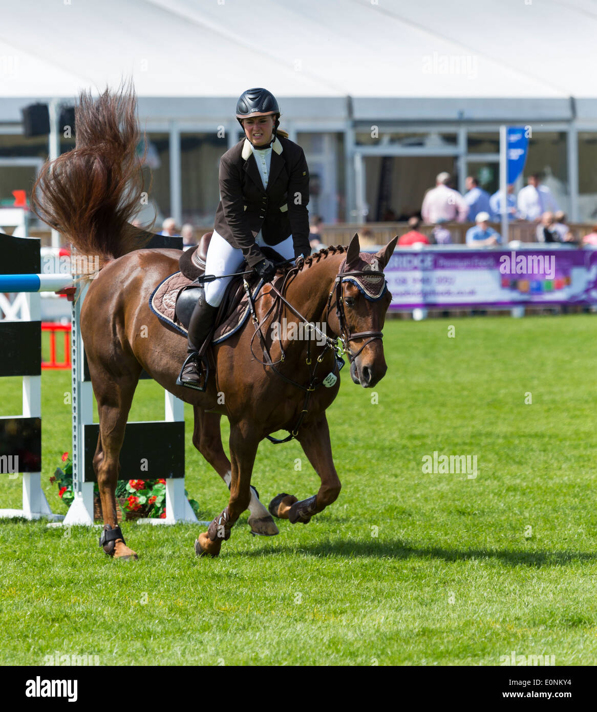 Show Jumping at The 2014 Balmoral Show, The Maze, Lisburn, Northern ...