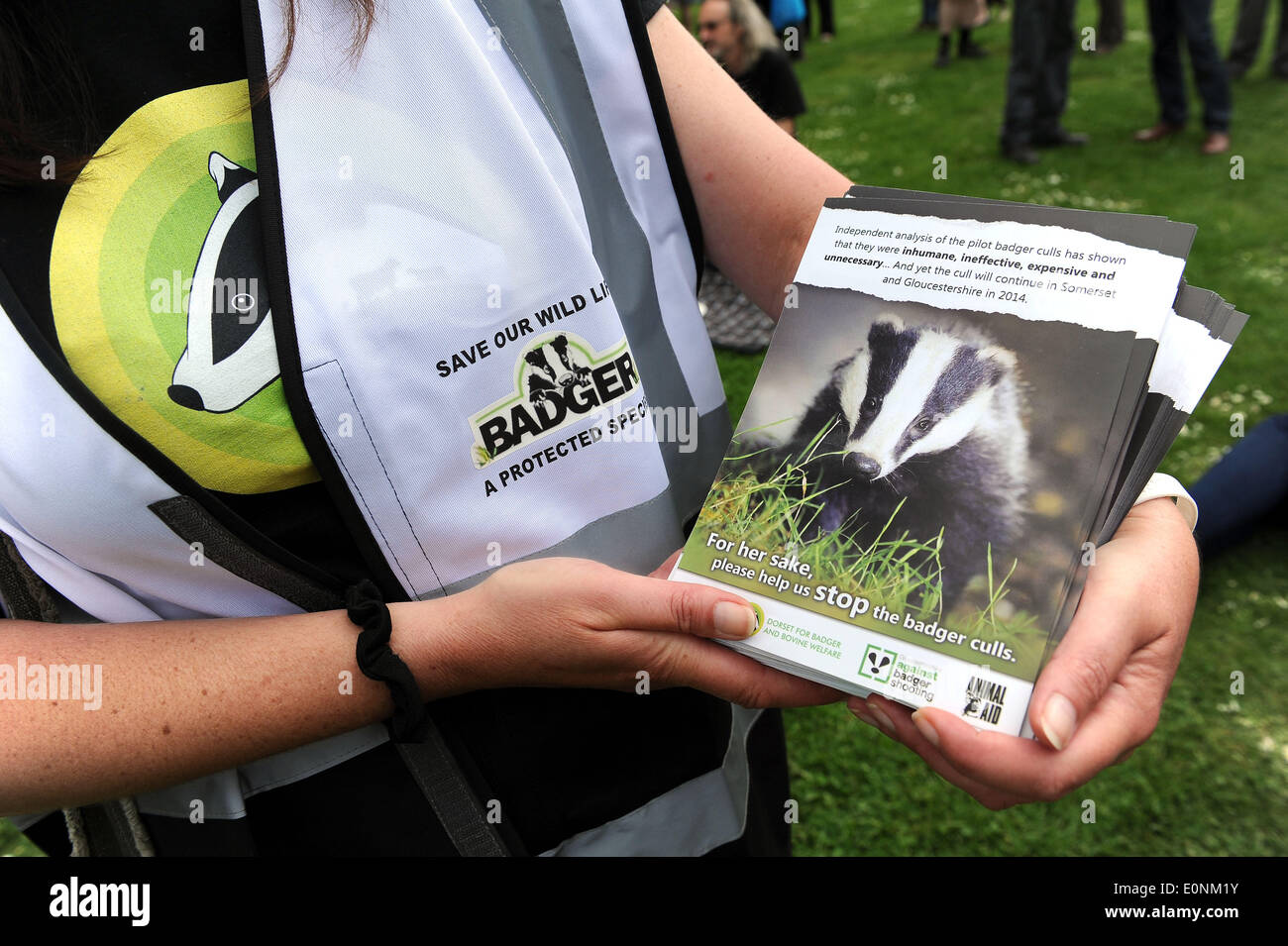 Anti Badger High Resolution Stock Photography and Images - Alamy