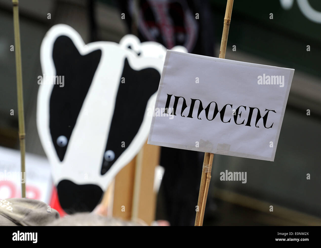 Protest against badger cull banners hi-res stock photography and images ...