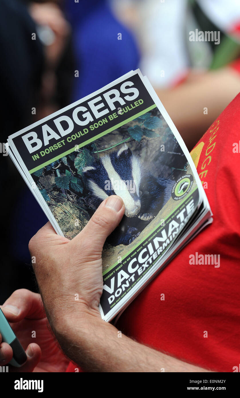 Protest pamphlet hi-res stock photography and images - Alamy