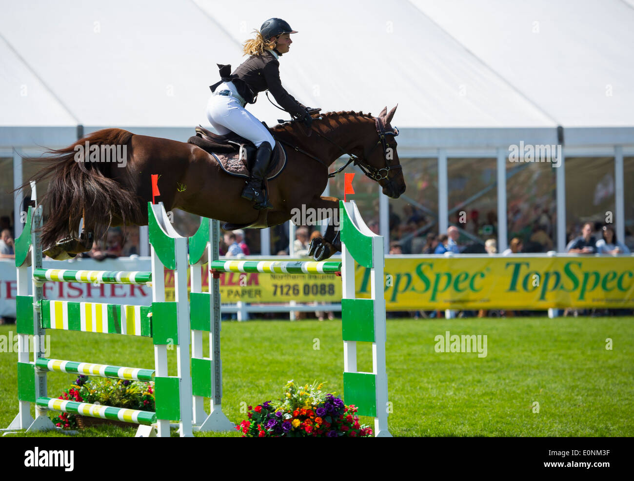 Show Jumping at The 2014 Balmoral Show, The Maze, Lisburn, Northern ...