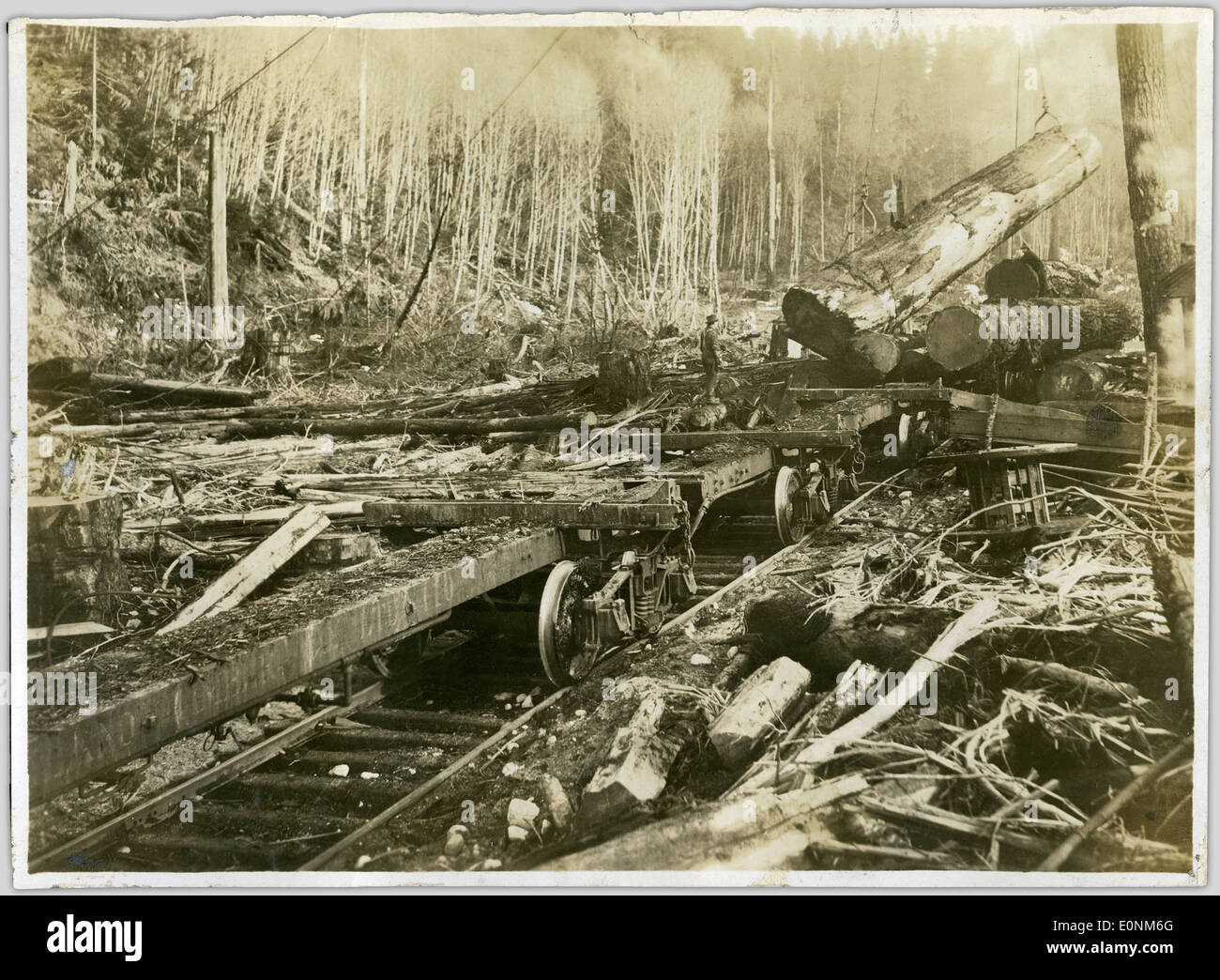 This image shows logs being loaded onto rail cars, a key aspect of ...