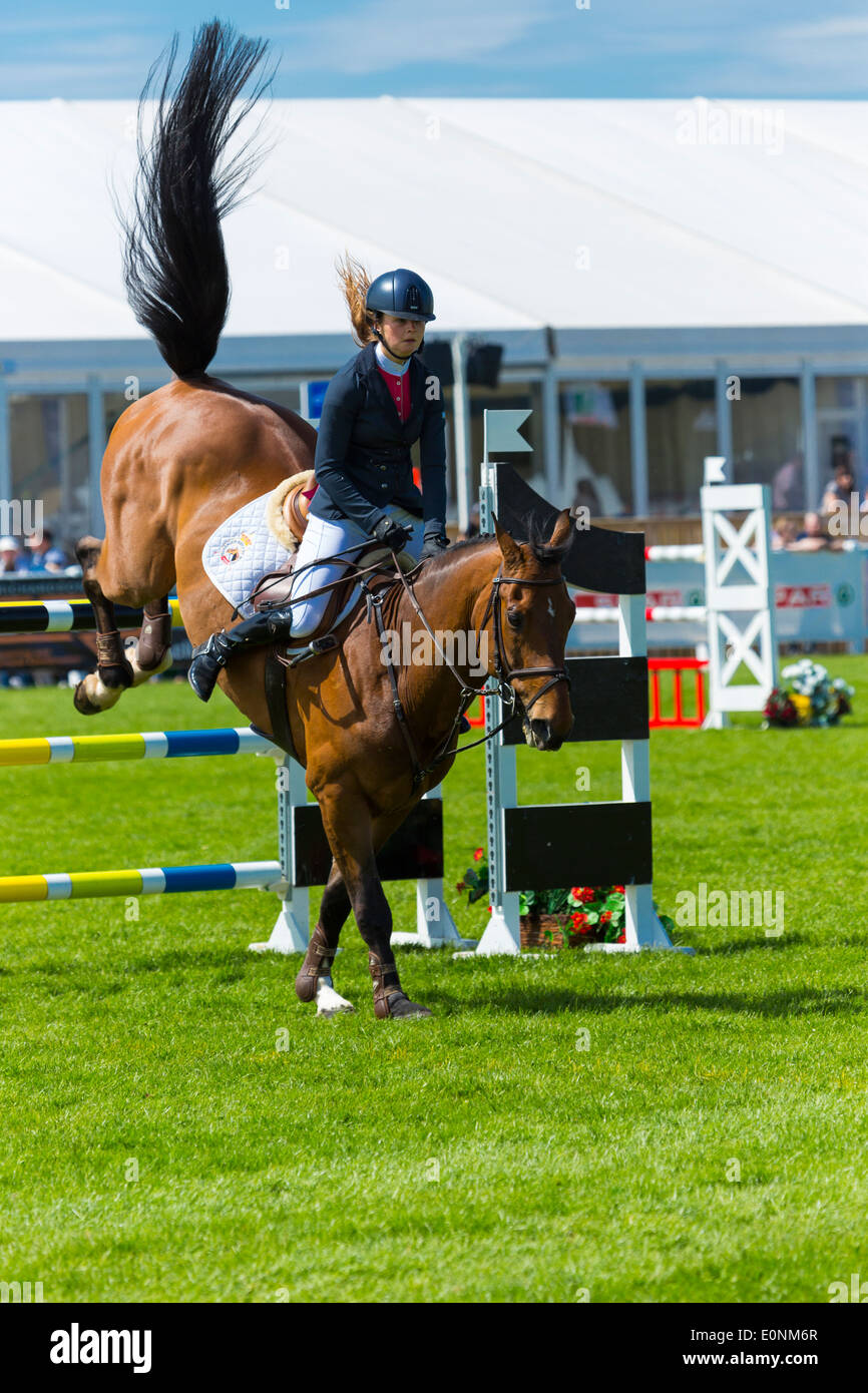 Show Jumping at The 2014 Balmoral Show, The Maze, Lisburn, Northern ...