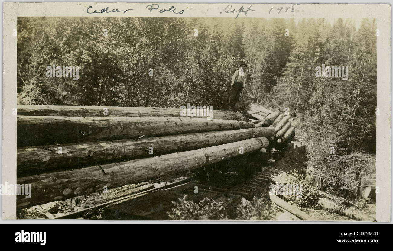 An image featuring cedar poles, used in various construction and ...