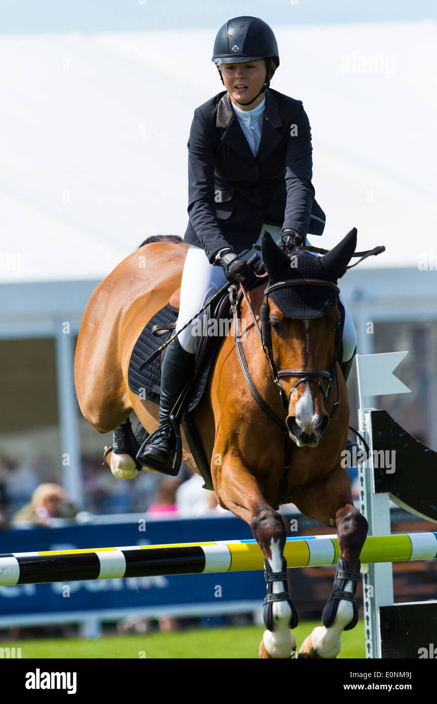 Show Jumping at The 2014 Balmoral Show, The Maze, Lisburn, Northern ...