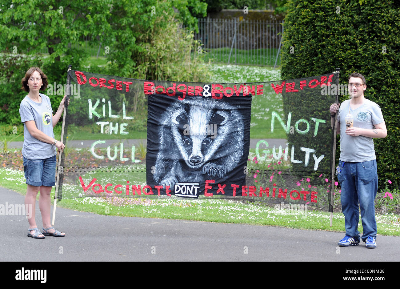 Anti-badger cull protest march, protesters hold a banner, Dorset ...