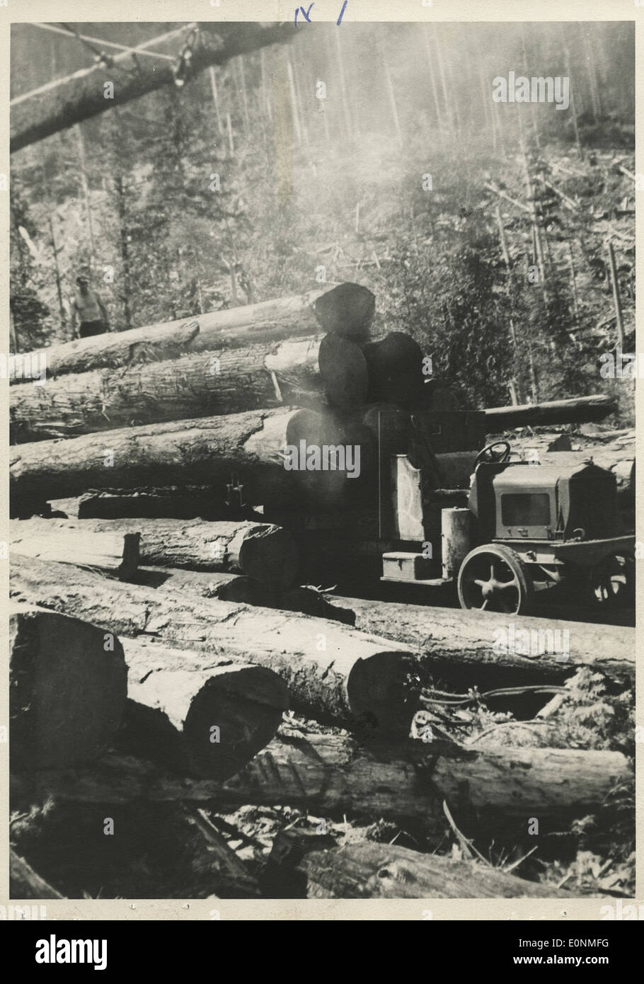 Load of woods hi-res stock photography and images - Alamy