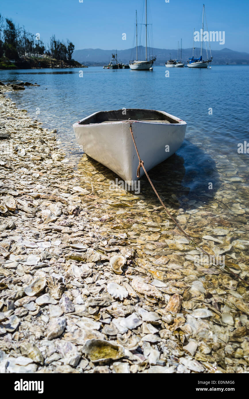 Oyster small shells hi-res stock photography and images - Alamy
