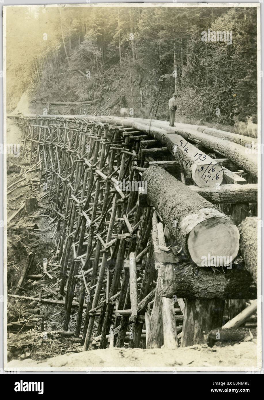 View of bridge construction Stock Photo - Alamy