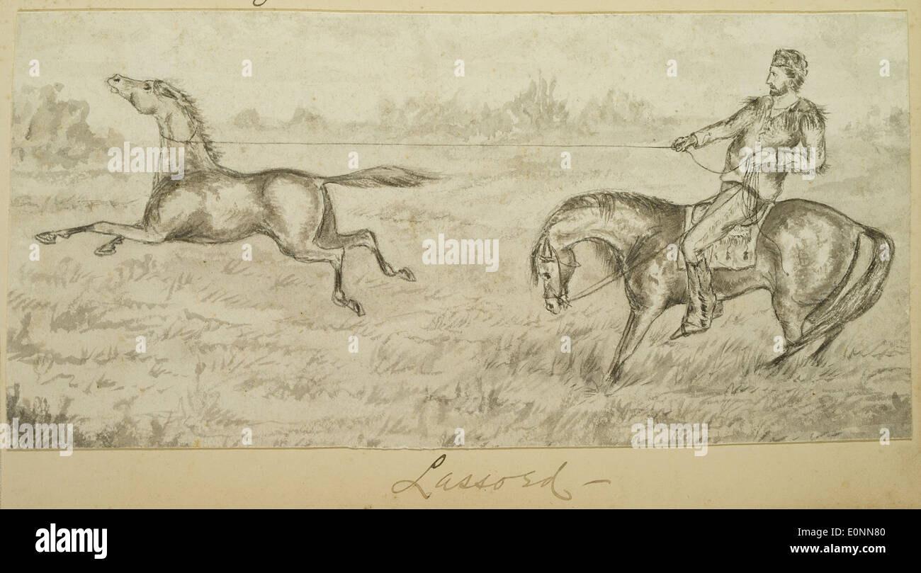 Cattle technique hi-res stock photography and images - Alamy