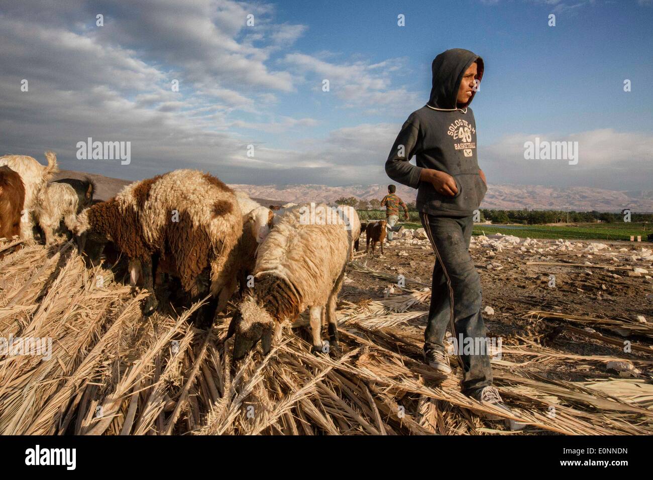 Nomadic arab tribes hi-res stock photography and images - Alamy