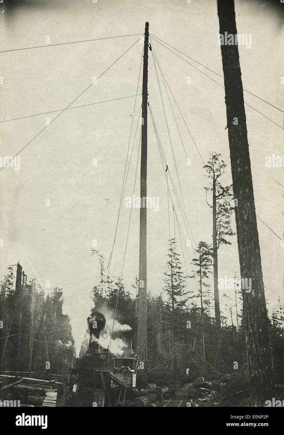 Yarder at spar tree hi-res stock photography and images - Alamy