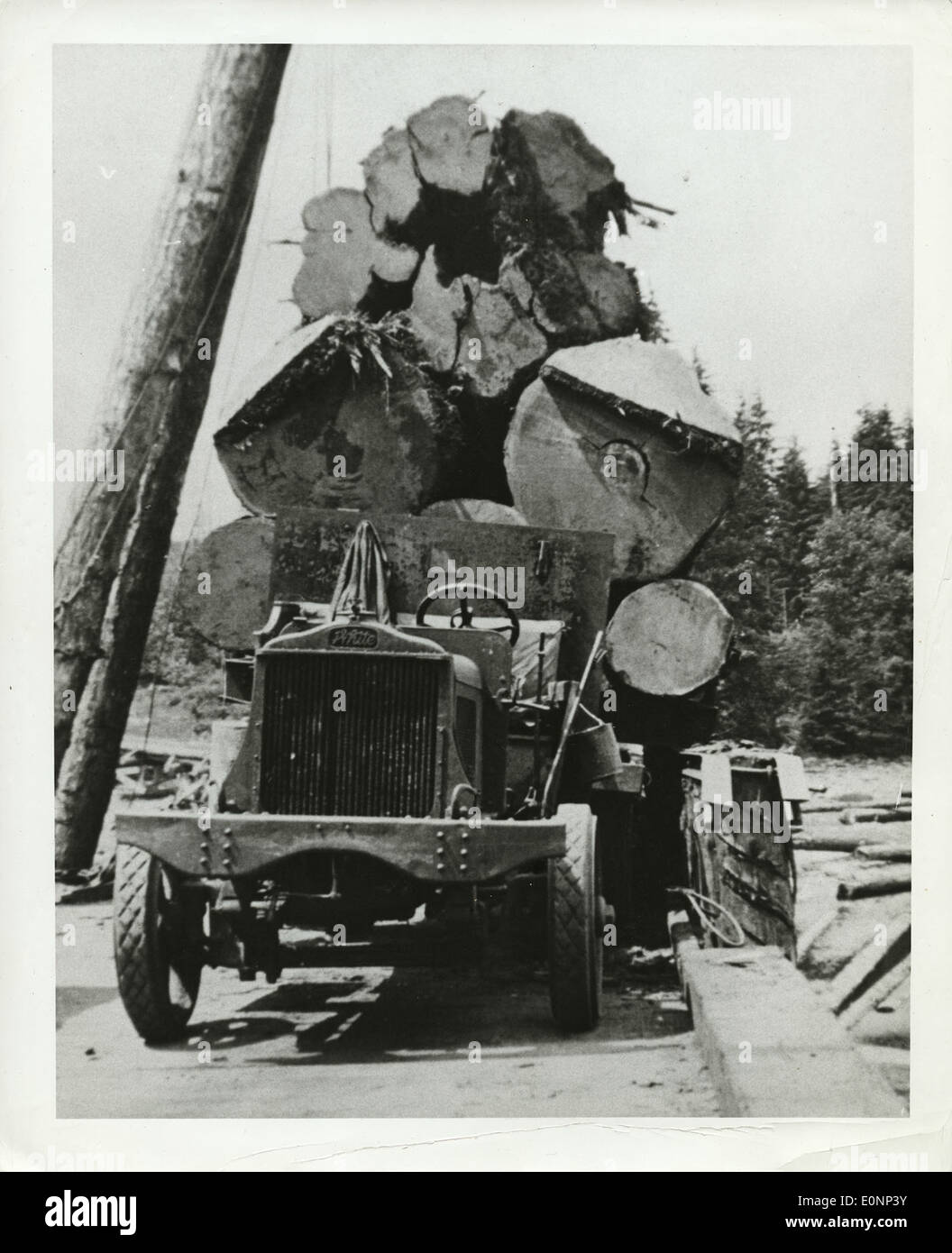 A photograph of a truck loaded with logs, highlighting the ...