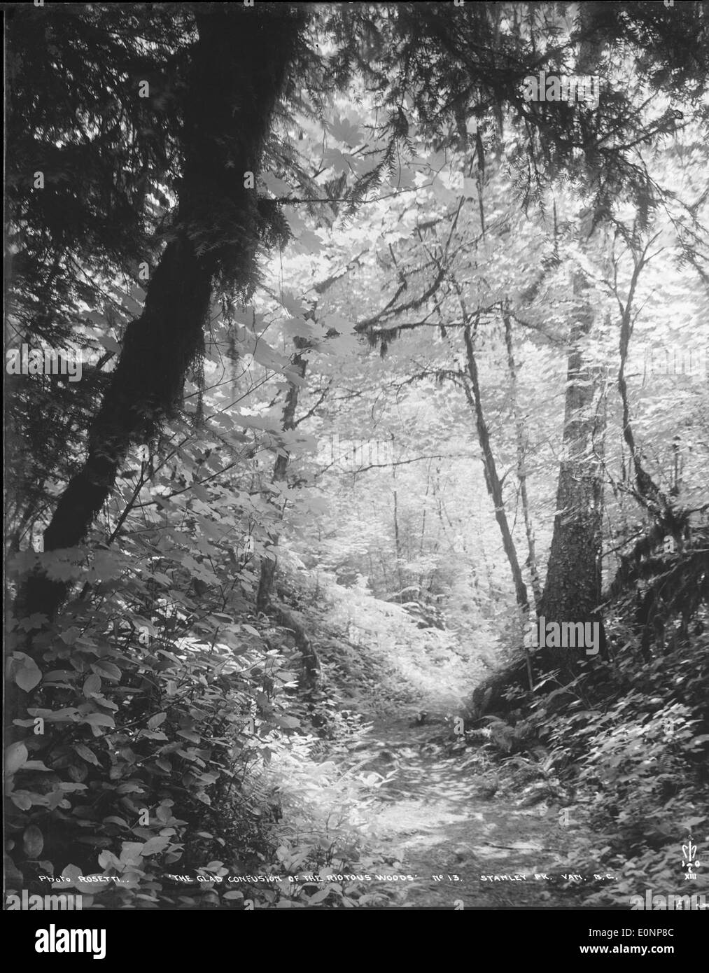 A photograph of Stanley Park in Vancouver, B.C., titled 'The Glad ...