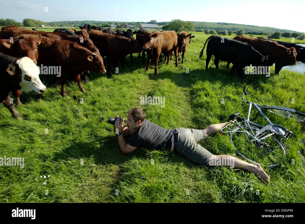 Klint janulis hi-res stock photography and images - Alamy