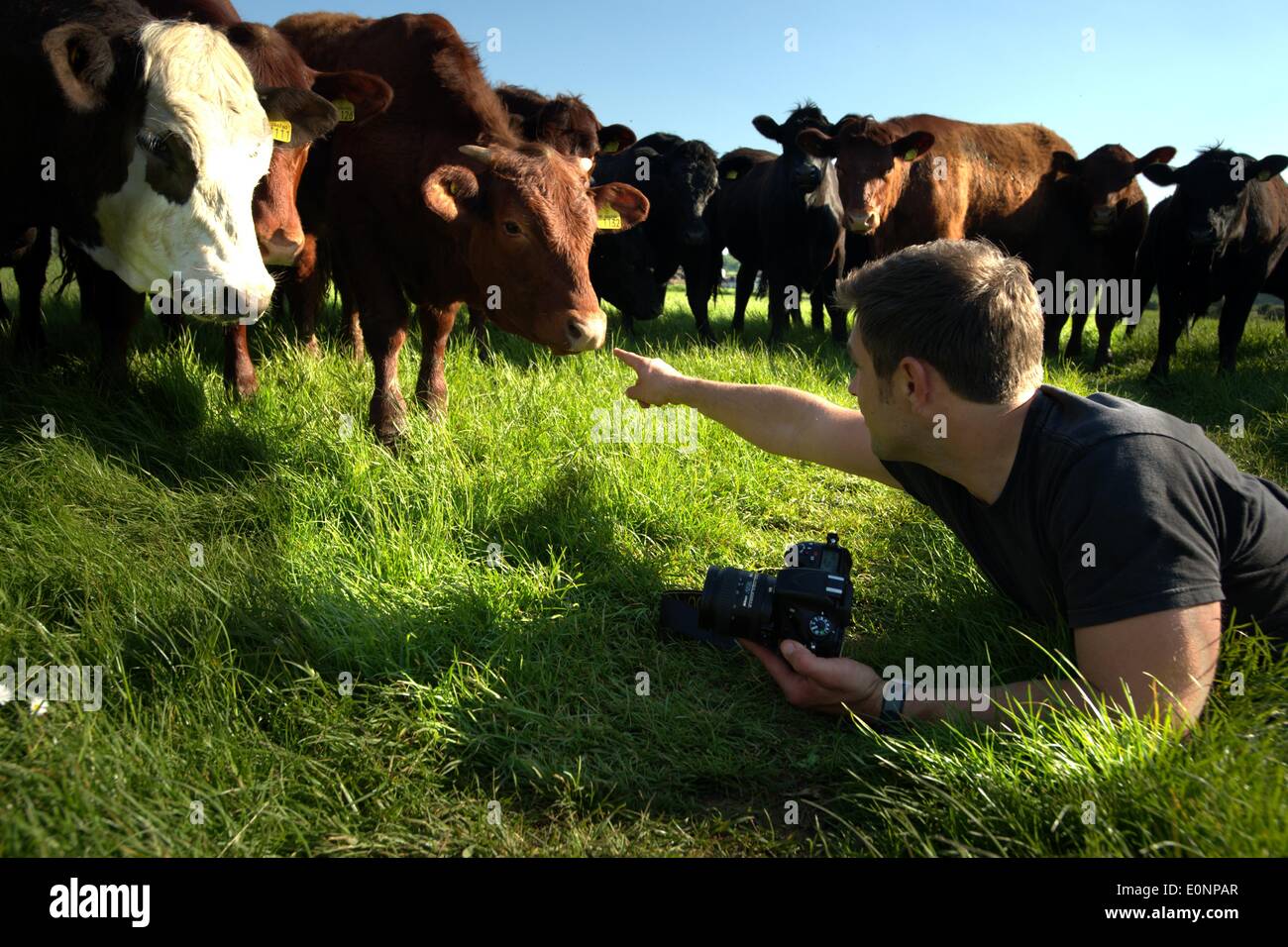 Klint janulis hi-res stock photography and images - Alamy