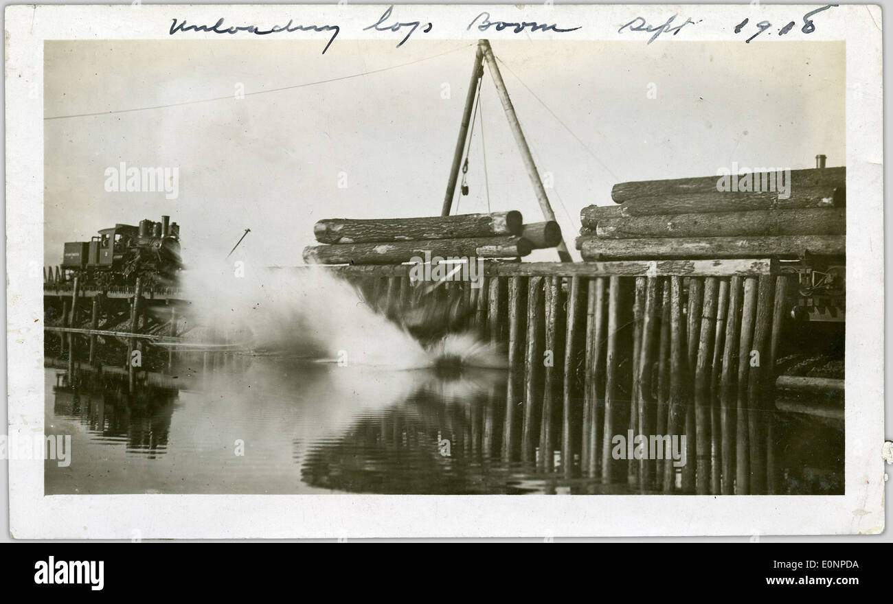 This photograph depicts the unloading of logs from a boom, a process ...