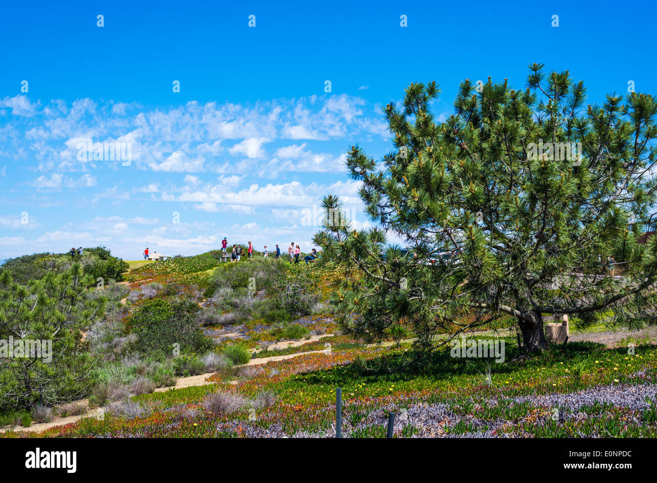 Mt soledad park hi-res stock photography and images - Alamy