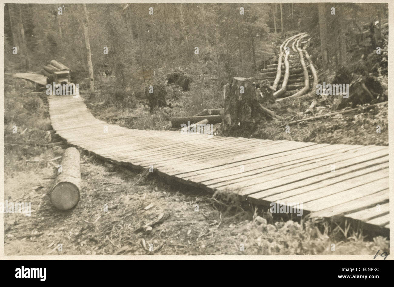 Truck loaded with logs travelling along logging road Stock Photo - Alamy
