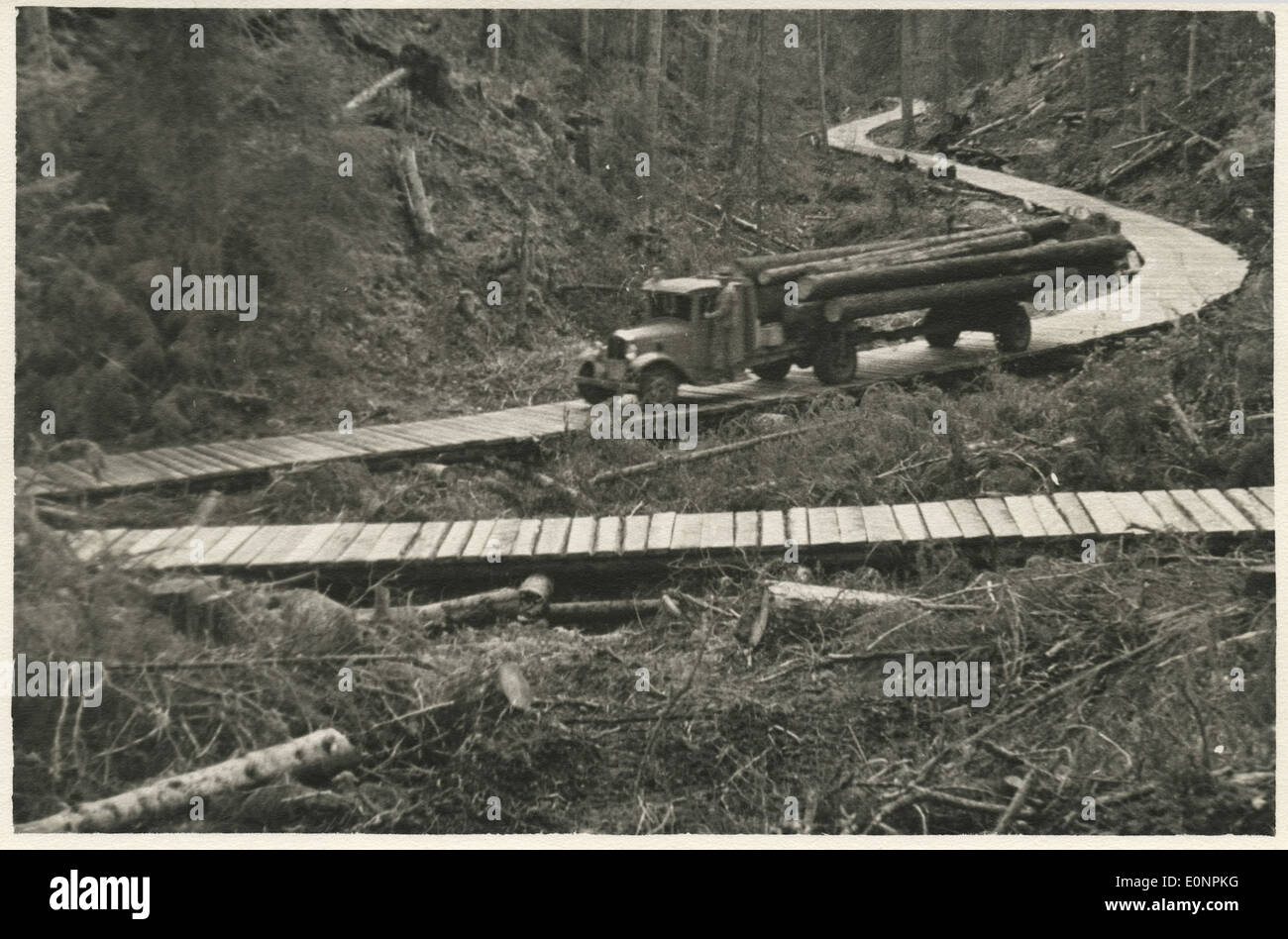 A truck loaded with logs travels along a logging road, reflecting the ...