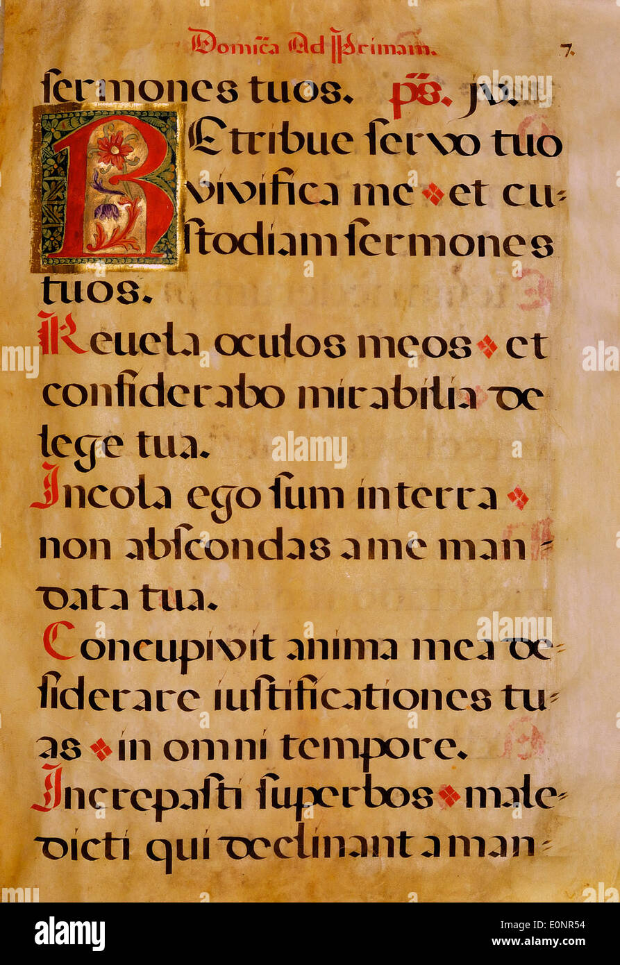 This image features a page from a Spanish Chant manuscript, a piece of ...