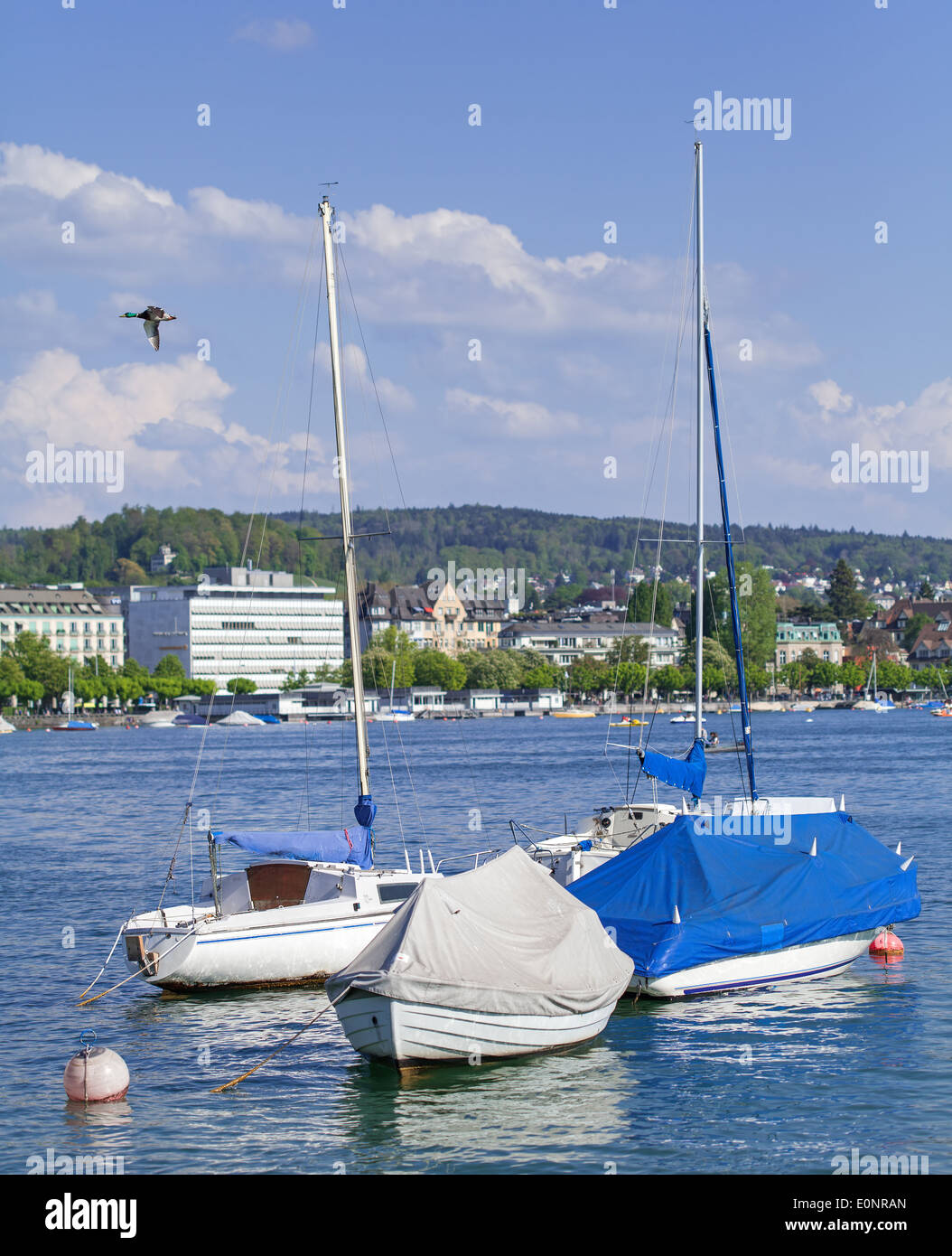 Lake zürich hi-res stock photography and images - Alamy